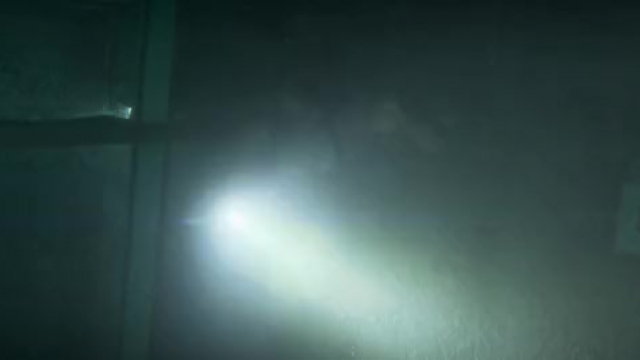 Alexandra Daddario Underwater In San Andreas R Watchitfortheplot On